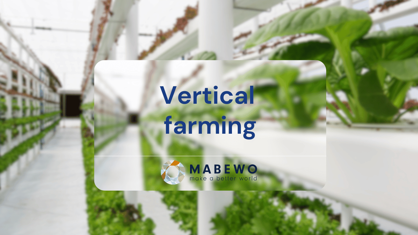 Vertical farming: a sustainable revolution in urban centers - Start-up ...